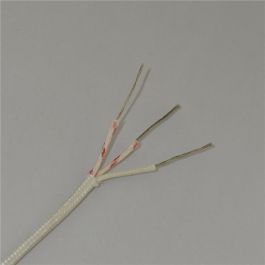 RTD Extension wire |Neurotech